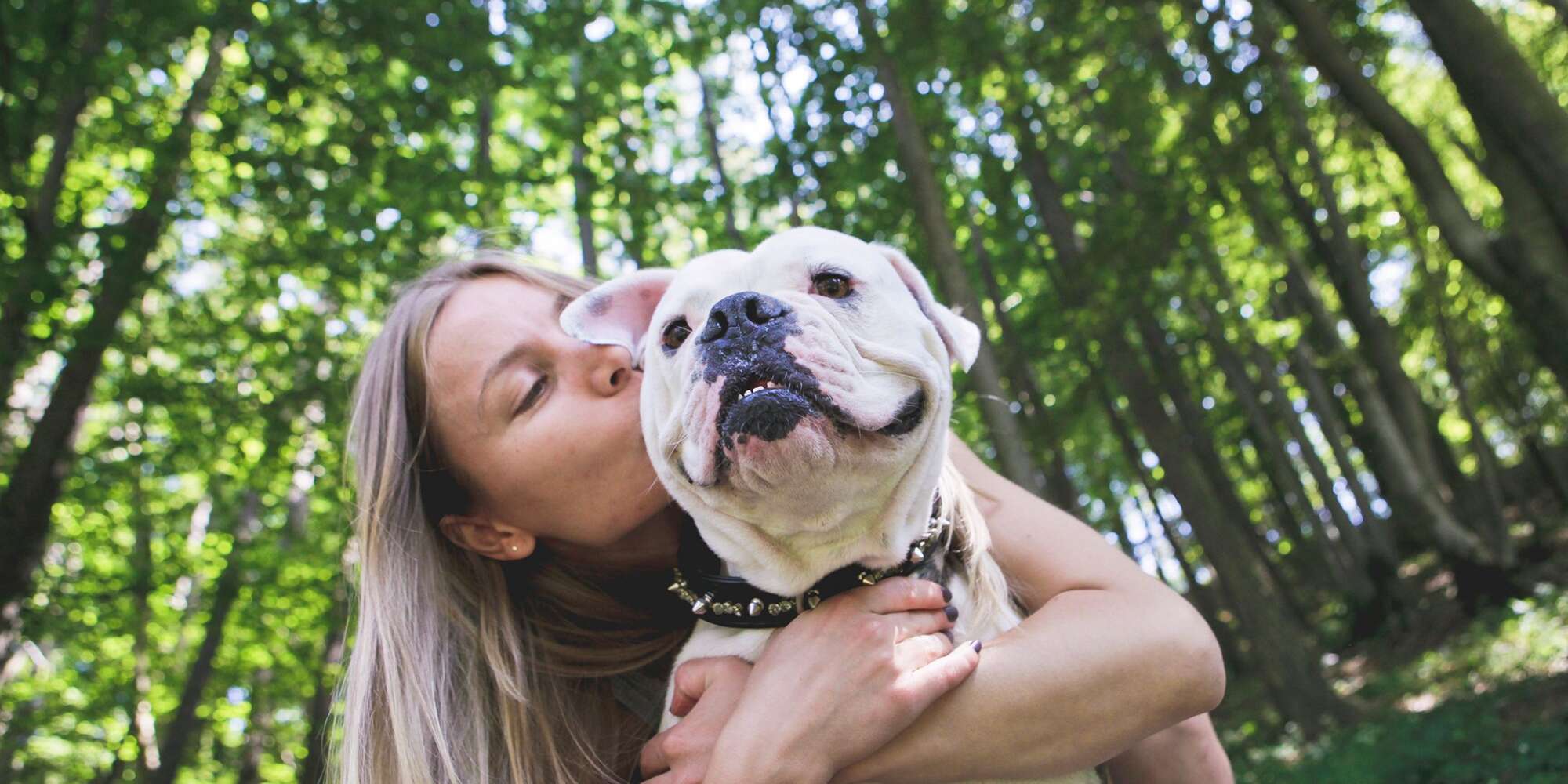 120 Dei Migliori Nomi Di Cani Da Vecchio Per Il Tuo Brontolone Nel ...