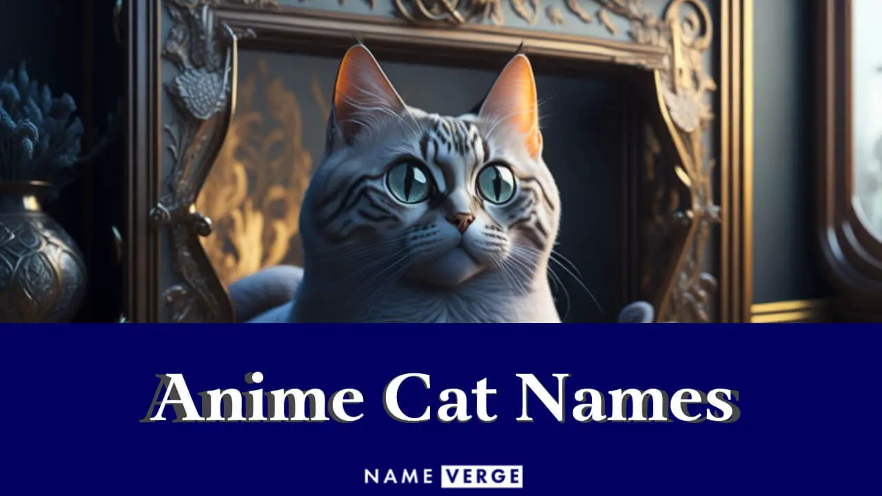 Nomi Di Gatti Anime: 360 Migliori Nomi Per Il Tuo Bel Gattino