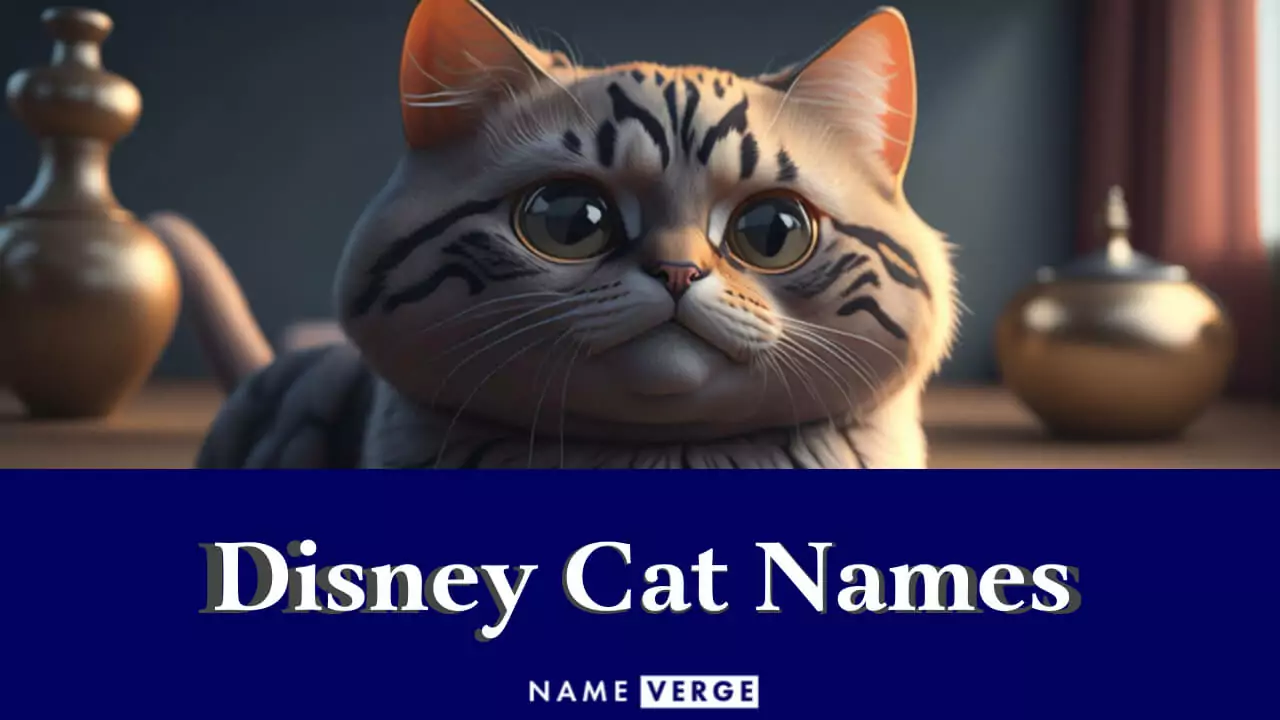 Nomi Di Gatti Disney: 240 Nomi Ispirati A Disney E Pixar Per Gatti