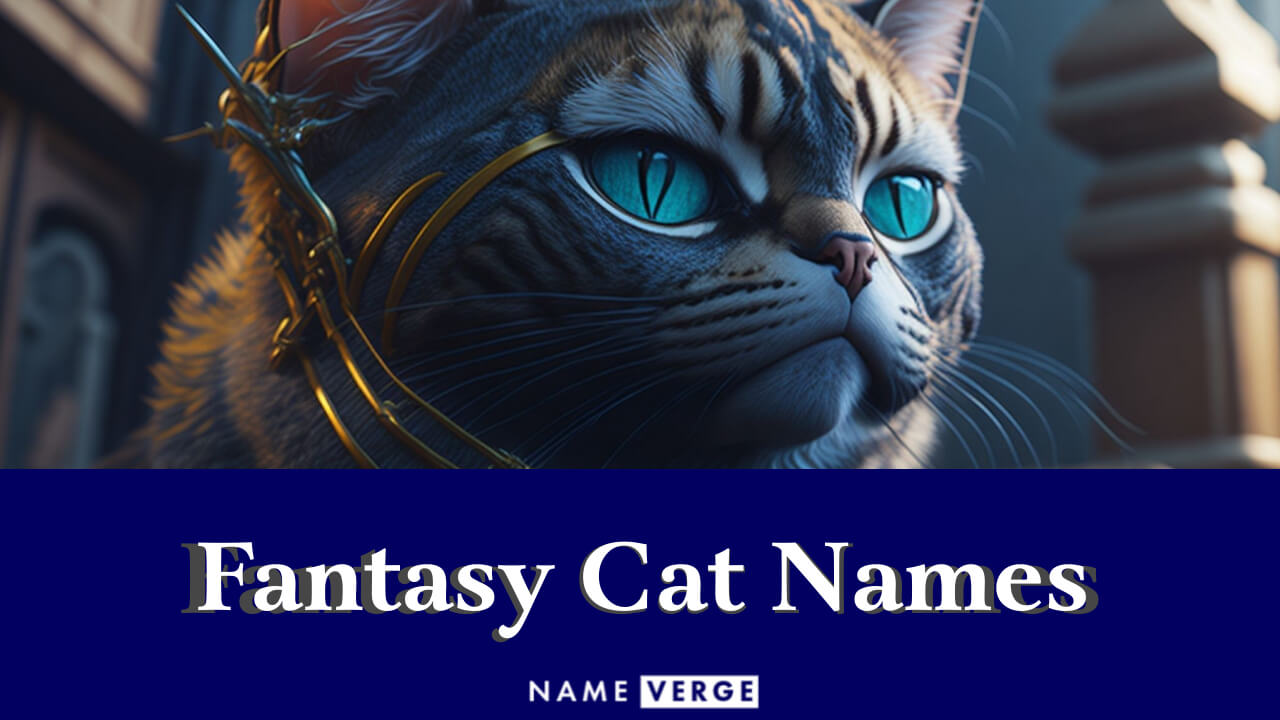Nomi Di Gatti Fantasy: Oltre 222 Nomi Fantasy Magici Per Gatti